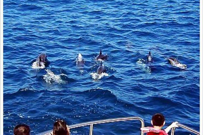Northern Taiwan (Taipei, New Taipei City, Yilan County) 3-Day Tour - Authenticity and Traveler Tips