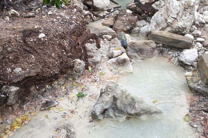 Northern Tour Adventure through Nature - Exploring Dominica’s Natural and Cultural Gems