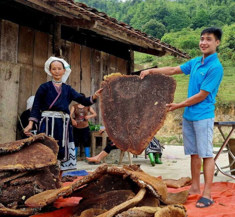 Northern Vietnam Private Car Tour and Local Tour Guide - Real Traveler Feedback and Insights