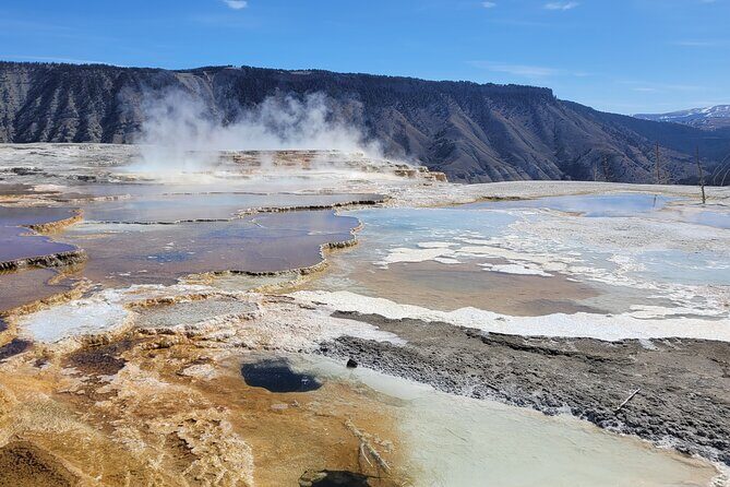 Northern Yellowstone Safari from Cody, WY - The Experience: Comfort, Value, and Authenticity