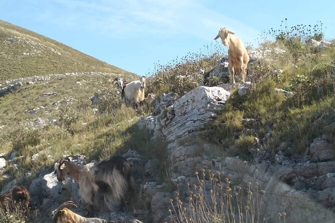 Northwest Corfu 4x4 Coastal Dreams & Village Charms Experience - The Itinerary in Detail