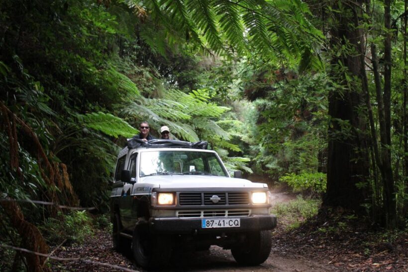 NorthWest's 50 shades of green, rock pools & waterfalls Tour - Key Points