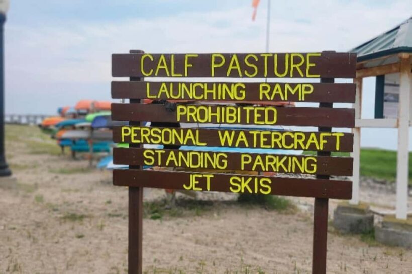 Norwalk: Paddleboard Rental at Calf Pasture Beach - Authentic Experiences and Practical Tips