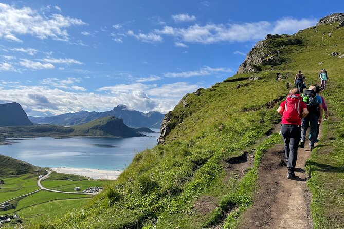 Norway Lofoten Private Shore Excursion from Leknes - The Itinerary in Detail: What Makes Each Stop Special