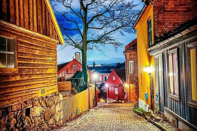 Norwegian Food Tour & Hidden Gems of Oslo - Accessibility and Transportation