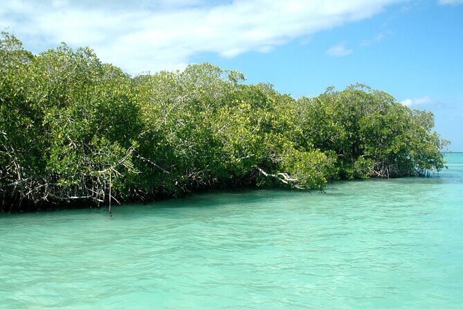 Norwegian Sky at La Romana port: Saona Island - Final Thoughts