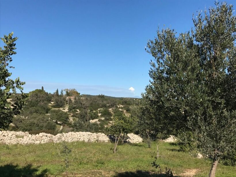 Noto: Farm to Fork in Sicily - Cooking Class in a Farm - Practical Details & Logistics