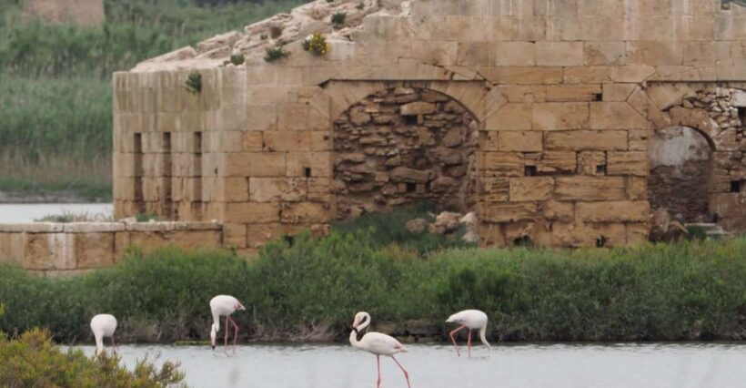 Noto: Guided trekking and birdwatching at Vendicari Reserve - Who Will Enjoy This Experience?