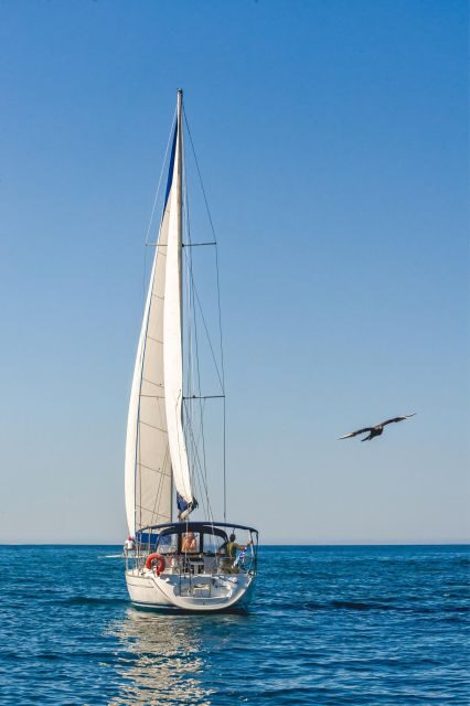Notos half-day cruise - FAQ: Your Practical Questions Answered