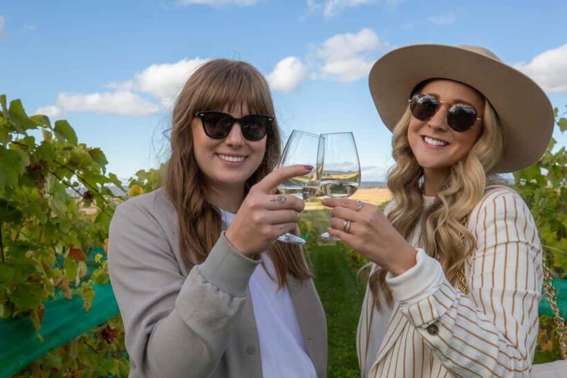 Nova Scotia Annapolis Valley Wine Tour Lead by a Sommelier - Key Points
