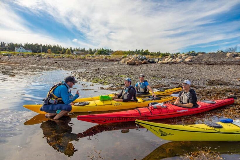 Nova Scotia: Guided Half-Day LaHave Islands Sea Kayak Tour - An Authentic Coastal Experience