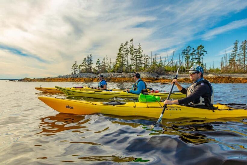 Nova Scotia: Guided Half-Day LaHave Islands Sea Kayak Tour - The Experience in Detail