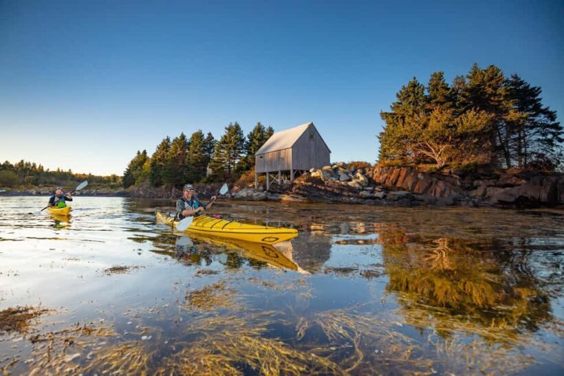 Nova Scotia: Guided Half-Day LaHave Islands Sea Kayak Tour - What’s Included and What’s Not