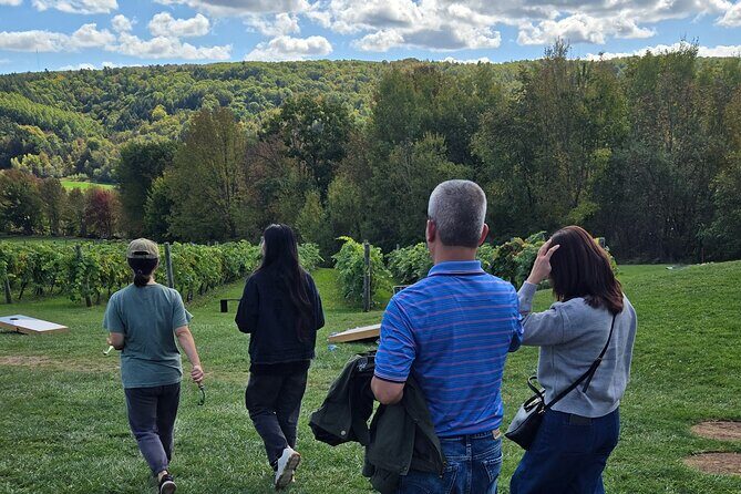 Nova Scotia Wine and Lobster Experience from Halifax - A Full Review of the Nova Scotia Wine and Lobster Experience