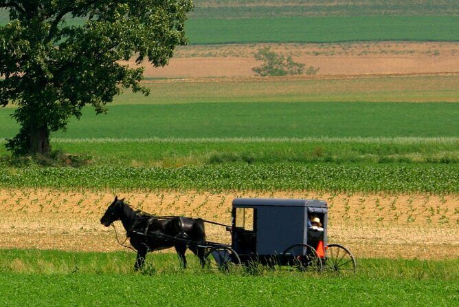 Nueva York a Filadelfia y Los Amish en Castellano - Conclusión