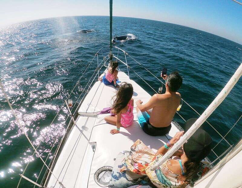 Nuevo Vallarta: Whale Watching by Sailboat Tour - Final Thoughts