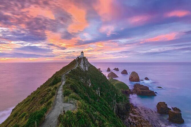 Nugget Point and Cathedral Caves Private Tour from Dunedin - A Deep Dive into the Tour: What to Expect