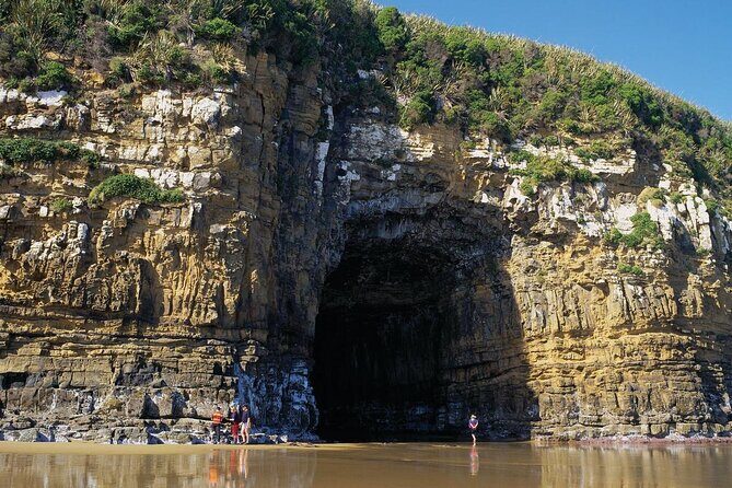 Nugget Point and Cathedral Caves Private Tour from Dunedin - Who Should Consider This Tour?