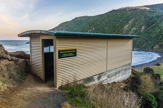 Nugget Point and Cathedral Caves Private Tour from Dunedin - The Sum Up