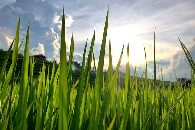 Number one top rated ethical cultural trekking and homestay by ETHOS - FAQ