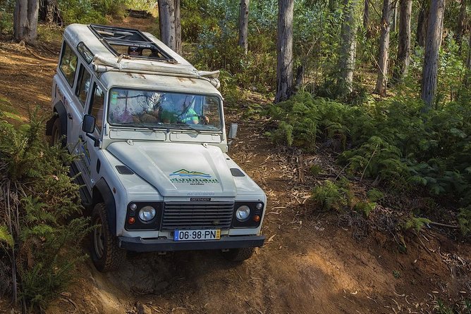 Nuns Valley & Sea Cliff - Half Day Jeep Tours - Highlights of the Experience