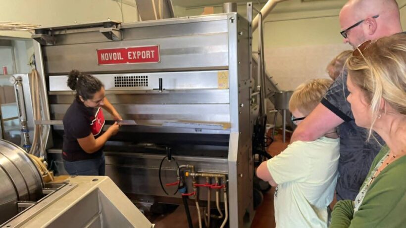 Nuoro: Visit an oil mill with oil tasting - Final Thoughts: Who Should Do This?