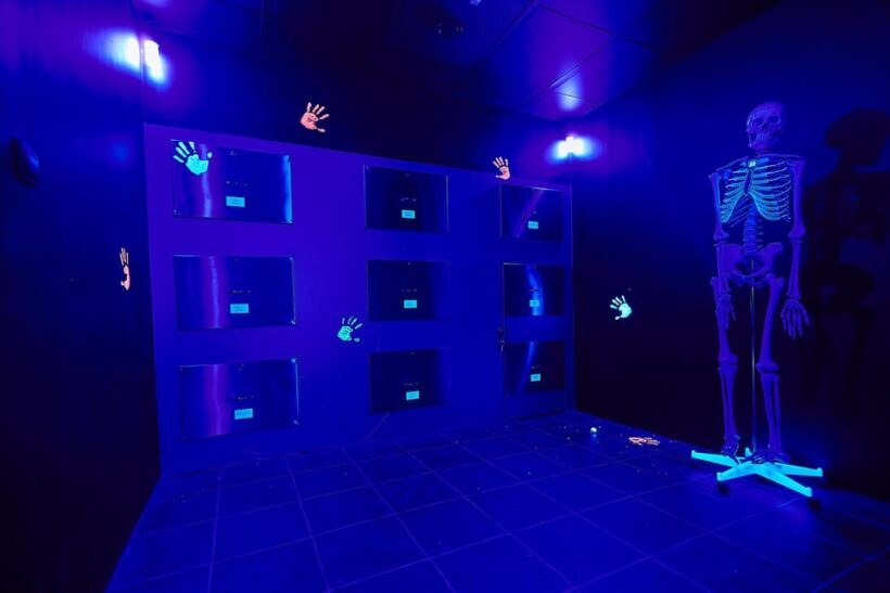 Nürnberg: Secret Surgery Escape Room Game - The Experience: What We Think