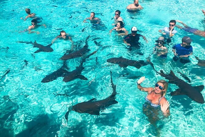 Nurse Shark Snorkelling - The Practical Details