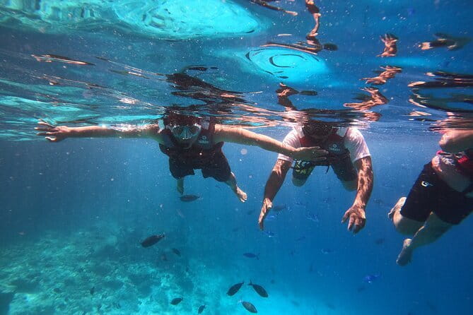 Nurse Shark Snorkelling - Who Should Consider This Tour?