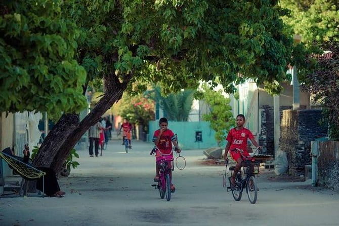 Nurse Shark Snorkelling - FAQs