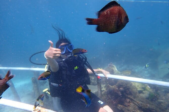 Nusa Dua Marine Parasailing Adventure,Tubing Ride and Diving Experience - Final Thoughts: Who Will Love This Tour?