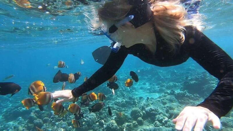 Nusa Dua: Tanjung Benoa Snorkeling Tour with Pickup Options - Key Points