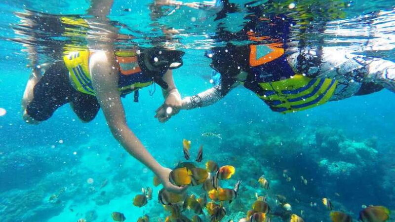 Nusa Dua: Tanjung Benoa Snorkeling Tour with Pickup Options - The Itinerary in Detail