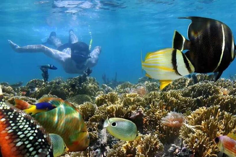 Nusa Dua: Tanjung Benoa Snorkeling Tour with Pickup Options - From the Guides to the Water