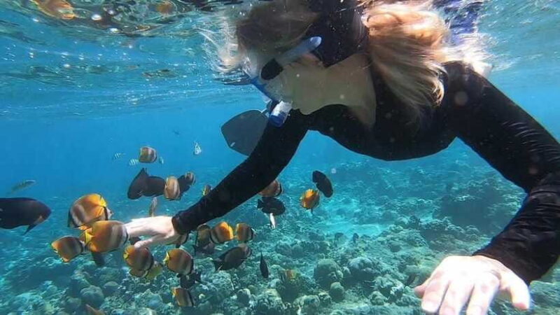 Nusa Dua: Tanjung Benoa Snorkeling Tour with Pickup Options - Practical Tips for Travelers
