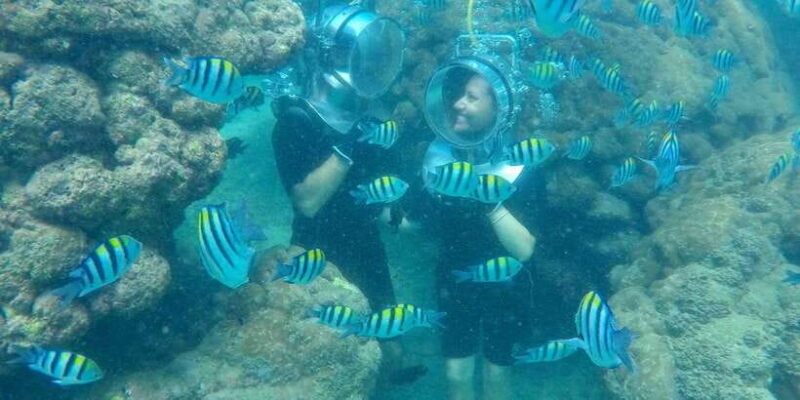 Nusa Dua: Underwater Sea Walking Experience - Price & Value: Is It Worth It?