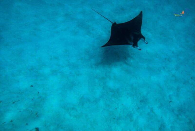 Nusa Lembongan and Nusa Penida: 2-Day Tour - What’s Included and What to Budget For