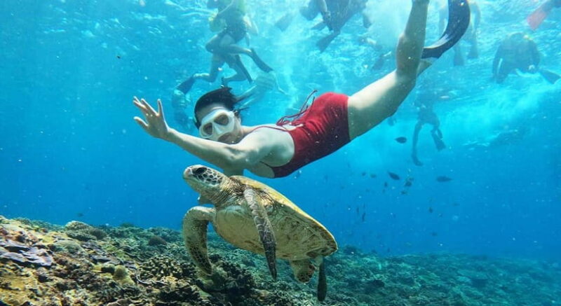 Nusa Lembongan from Bali: 3 Spots Snorkeling & Islands Tour - What Travelers Say