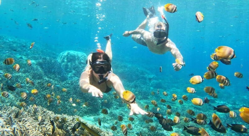 Nusa Lembongan from Bali: 3 Spots Snorkeling & Islands Tour - The Value of the Tour