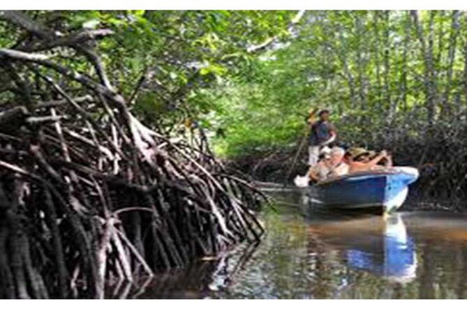 Nusa Lembongan Highlights Day Trip All-Inclusive - Who Should Consider This Tour?