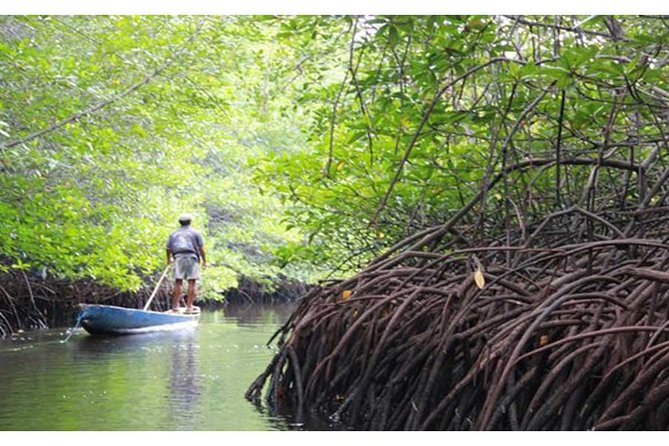 Nusa Lembongan Highlights Day Trip All-Inclusive - Frequently Asked Questions