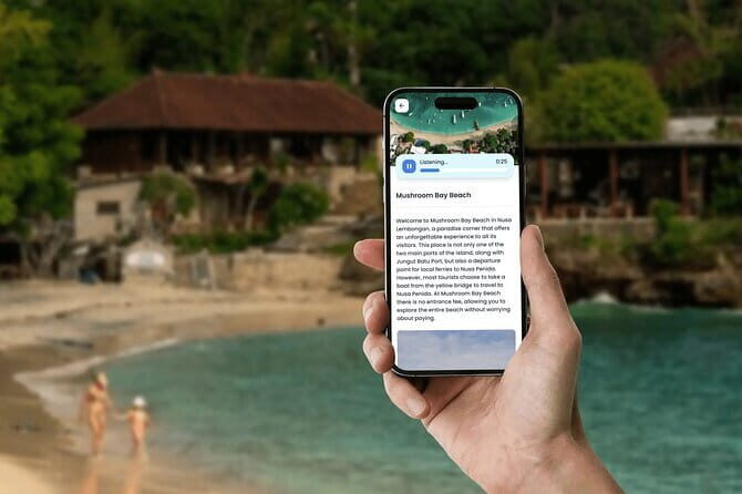 Nusa Lembongan Interactive Tour - A Detailed Look at the Nusa Lembongan Interactive Tour