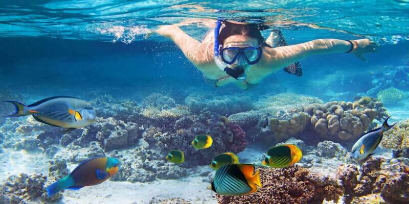 Nusa Lembongan Island: Snorkeling & Mangrove Forest Day Tour - Key Points