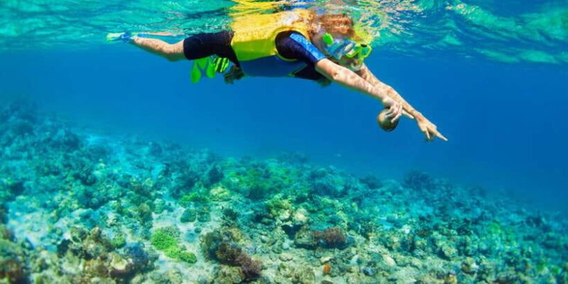 Nusa Lembongan Island: Snorkeling & Mangrove Forest Day Tour - FAQ