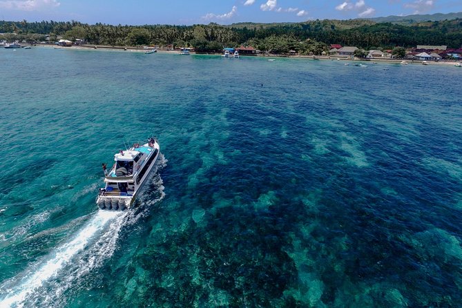 Nusa Lembongan Island: Snorkeling & Mangrove Forest Day Tour - Who Is This Tour Best For?