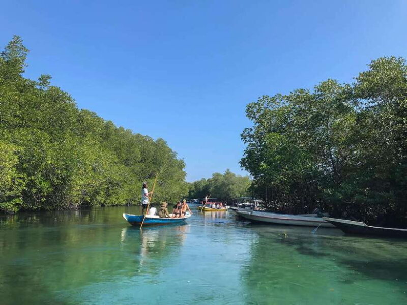 Nusa Lembongan Mangrove & Island Tour - Key Points