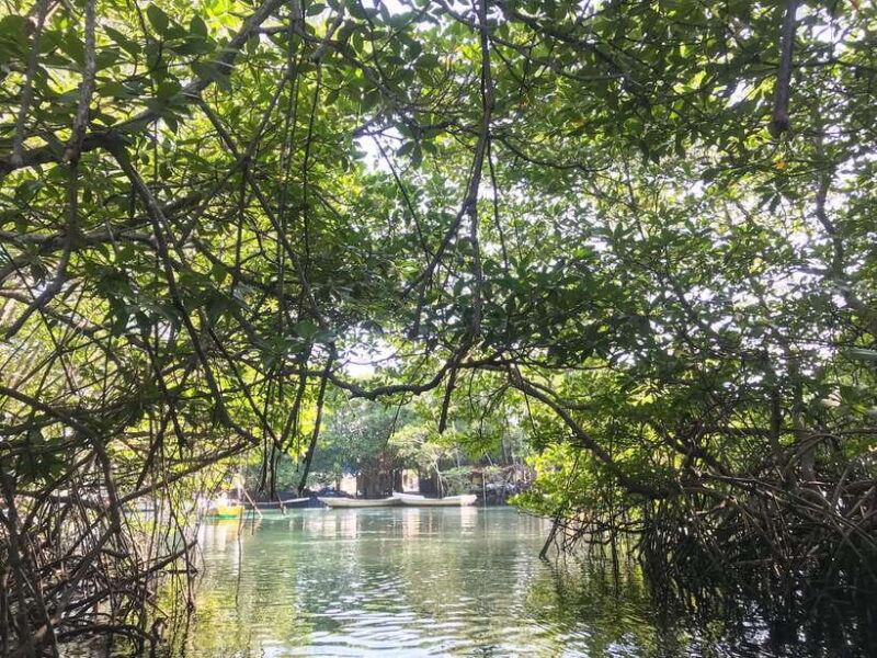 Nusa Lembongan Mangrove & Island Tour - Transportation and Group Size