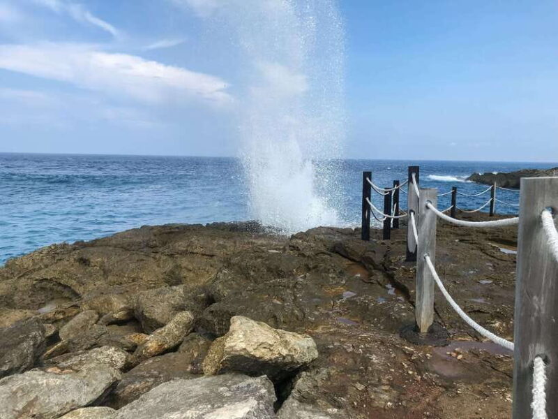 Nusa Lembongan Mangrove & Island Tour - Final Thoughts