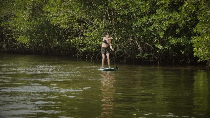Nusa Lembongan: Mangrove Kayak or Paddleboard Adventure - Why This Tour Has Its Place in Your Nusa Lembongan Itinerary