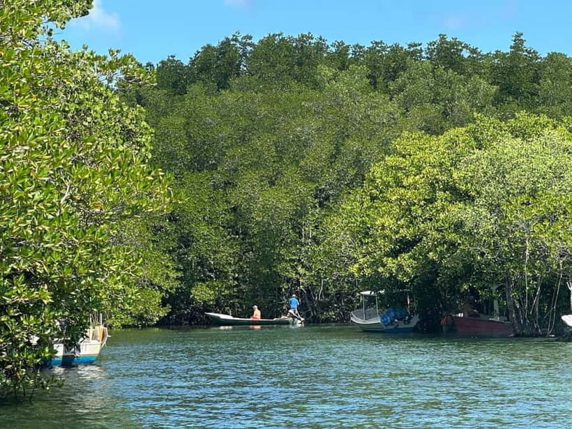 Nusa Lembongan: Mangrove Kayak or Paddleboard Adventure - FAQ